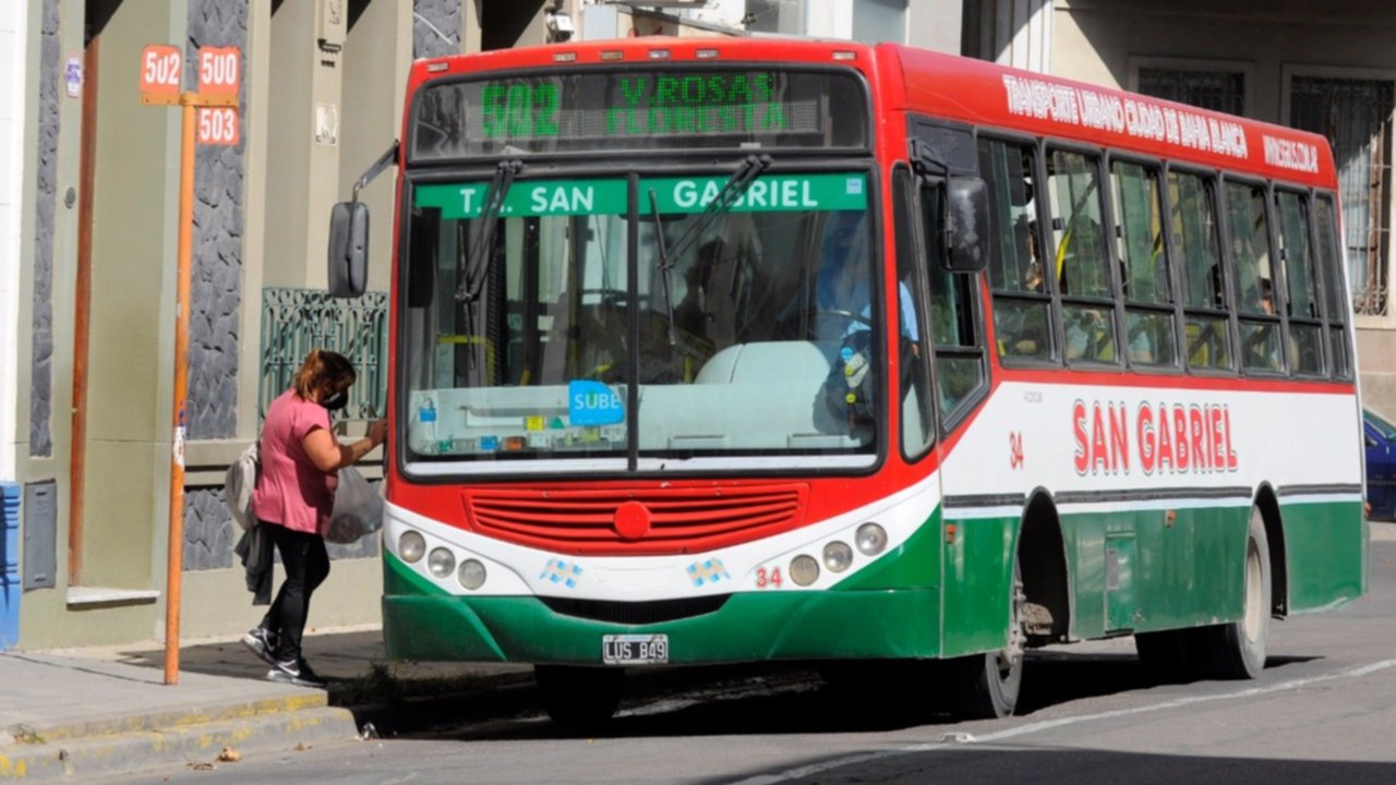 Accesibilidad En La Línea 502 Aseguran Que Los Colectivos Están Siendo