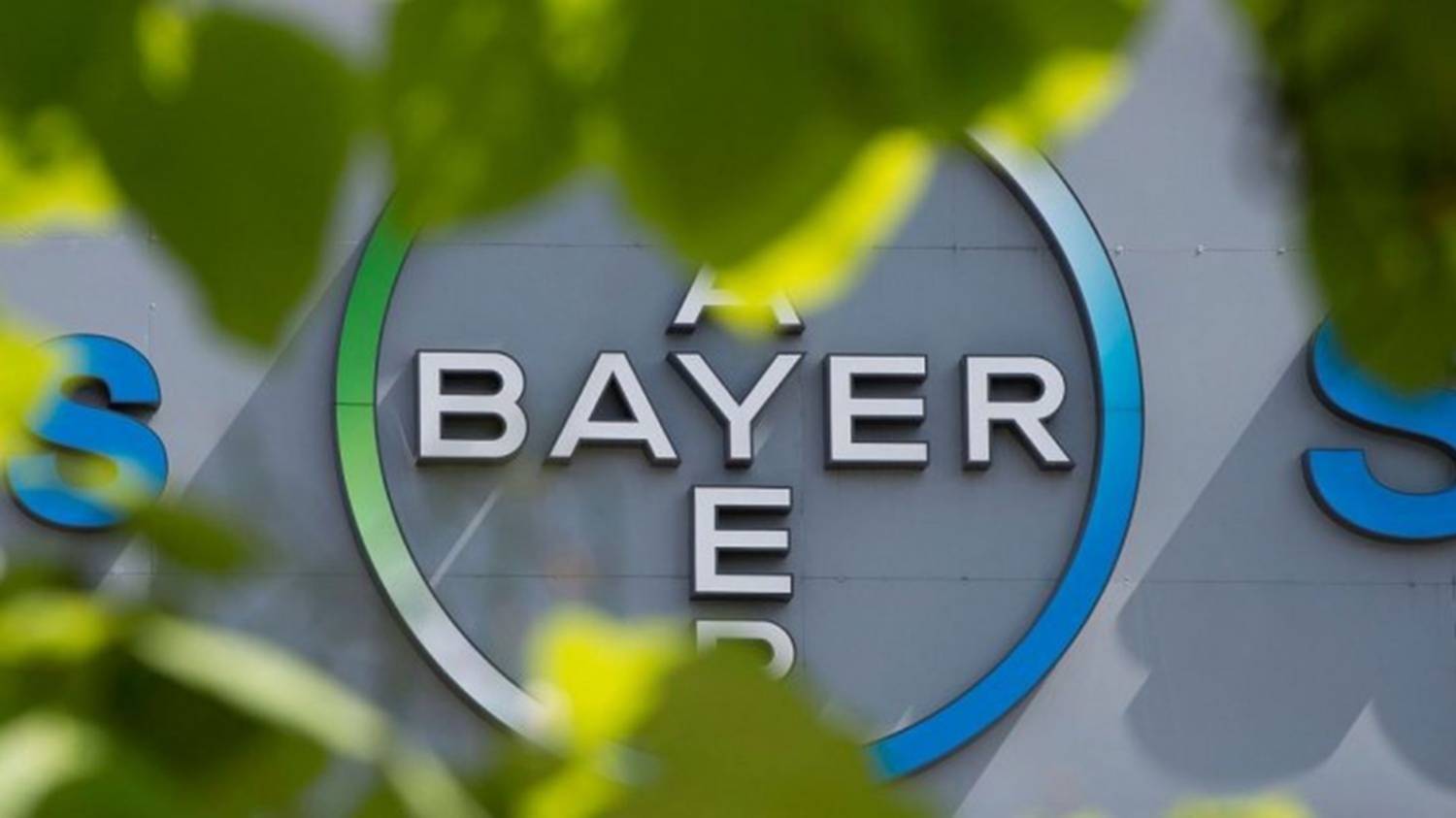 Las acciones de Bayer caen hasta 5 % tras el fallo adverso ...