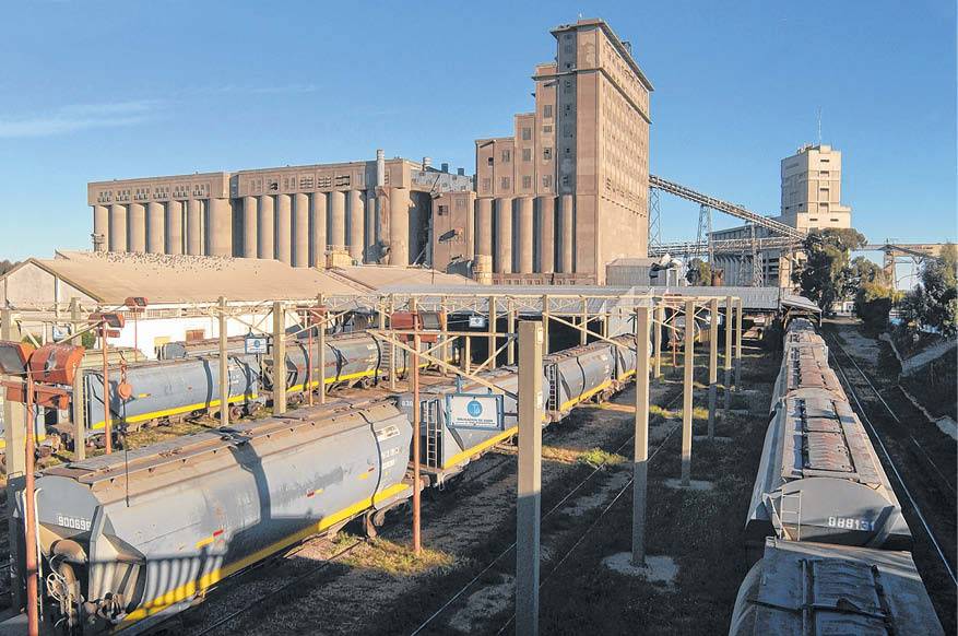 Producción y transporte de granos, factores decisivos