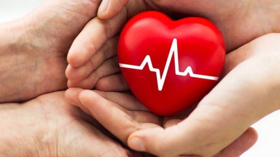 Para cuidar el corazón de las personas es necesario crear entornos ...